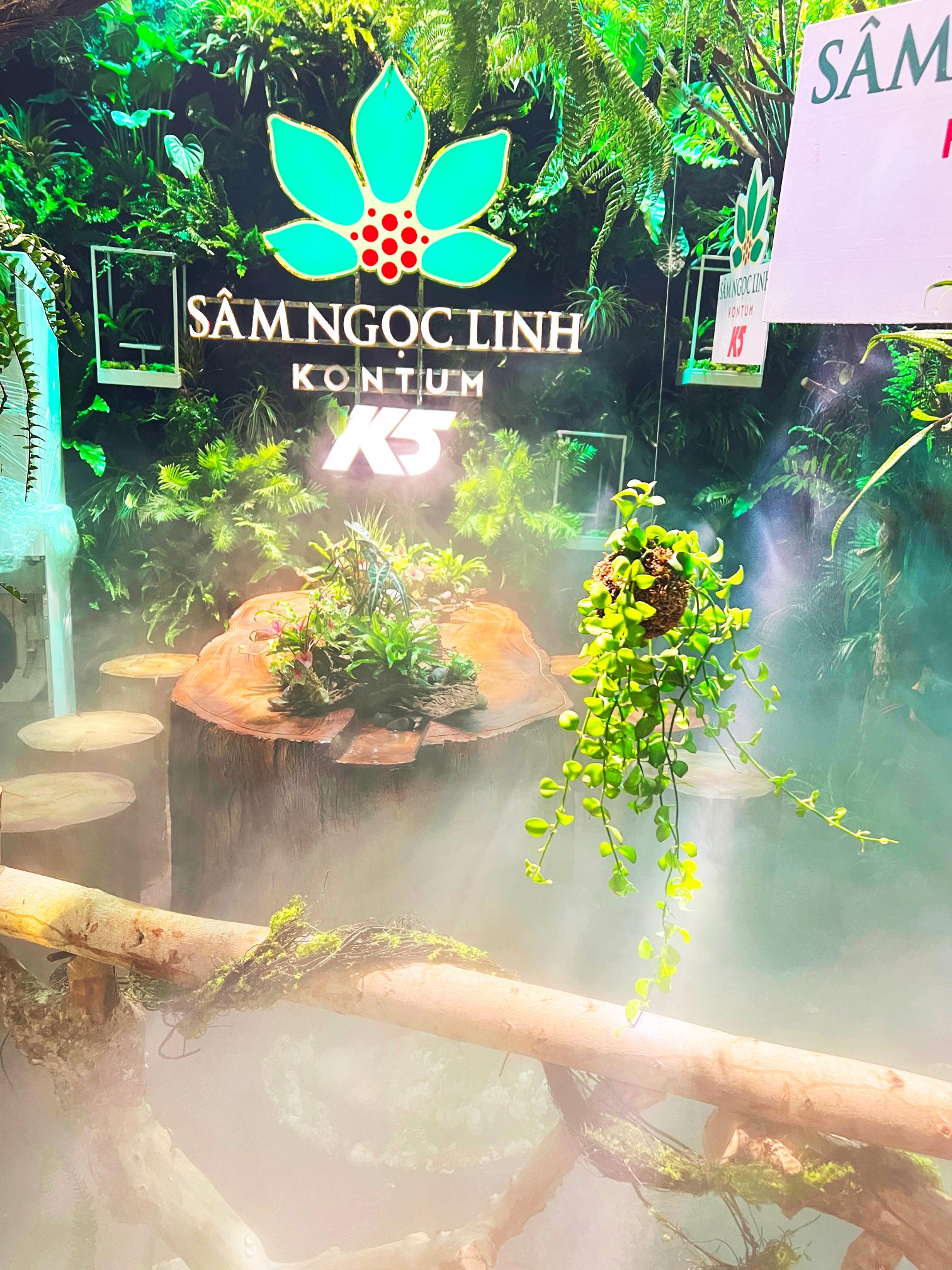 Rừng Sâm K5 - Tái hiện thế giới rừng Sâm Ngọc Linh giữa lòng Sài Gòn