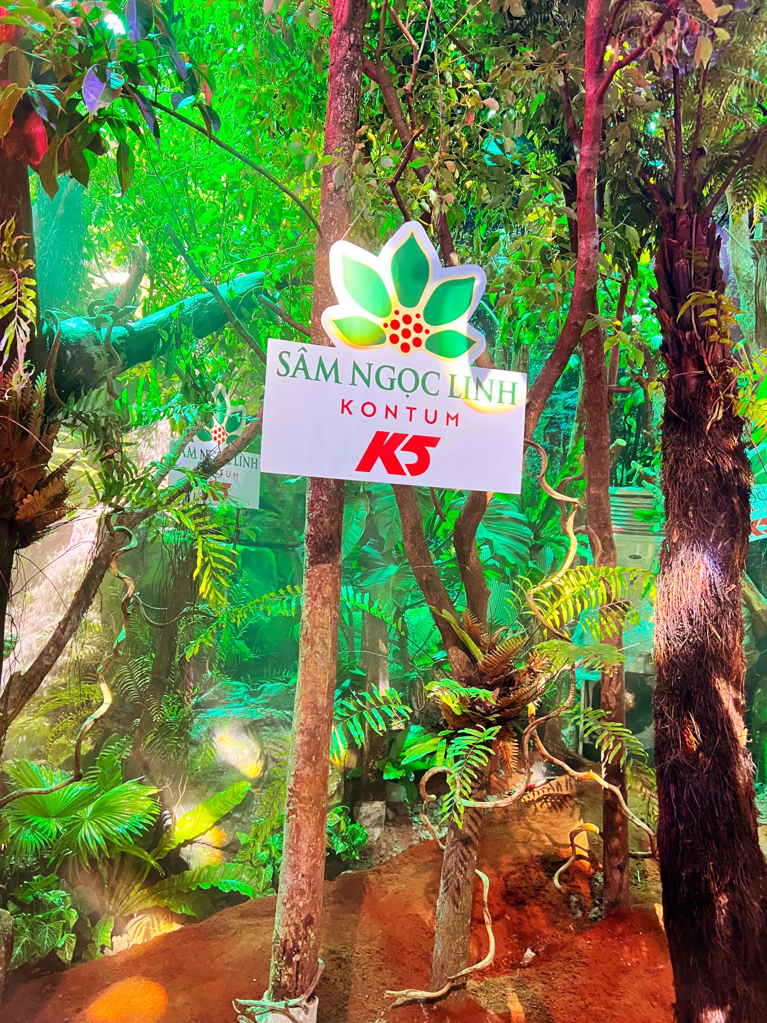 Rừng Sâm K5 - Tái hiện thế giới rừng Sâm Ngọc Linh giữa lòng Sài Gòn